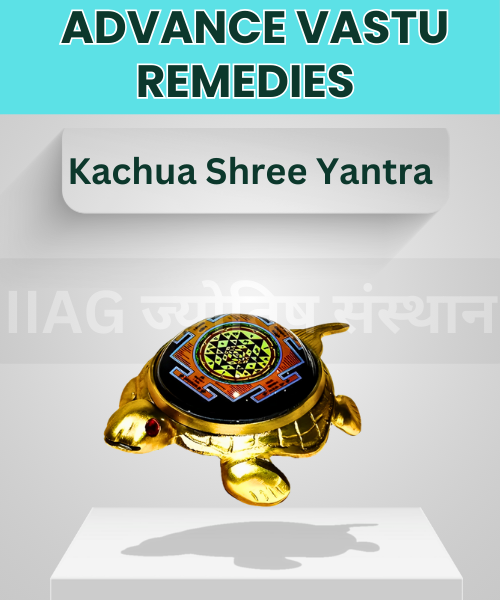 Buy Kachua Shree Yantra Online – Prosperity & Protection Yantra